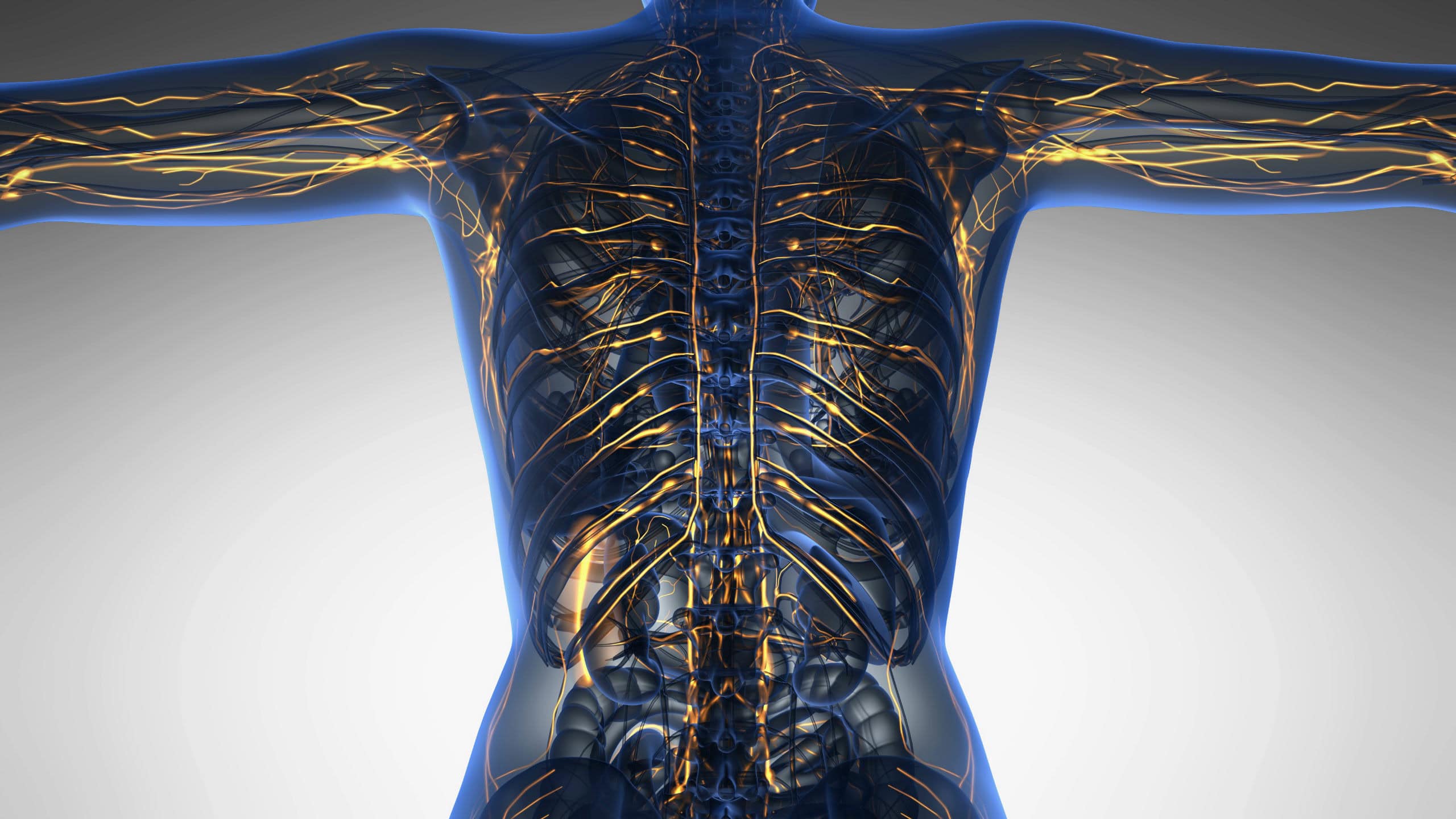 Unlocking the Power of Lymphatic Drainage Therapy: A Deep Dive Into ...