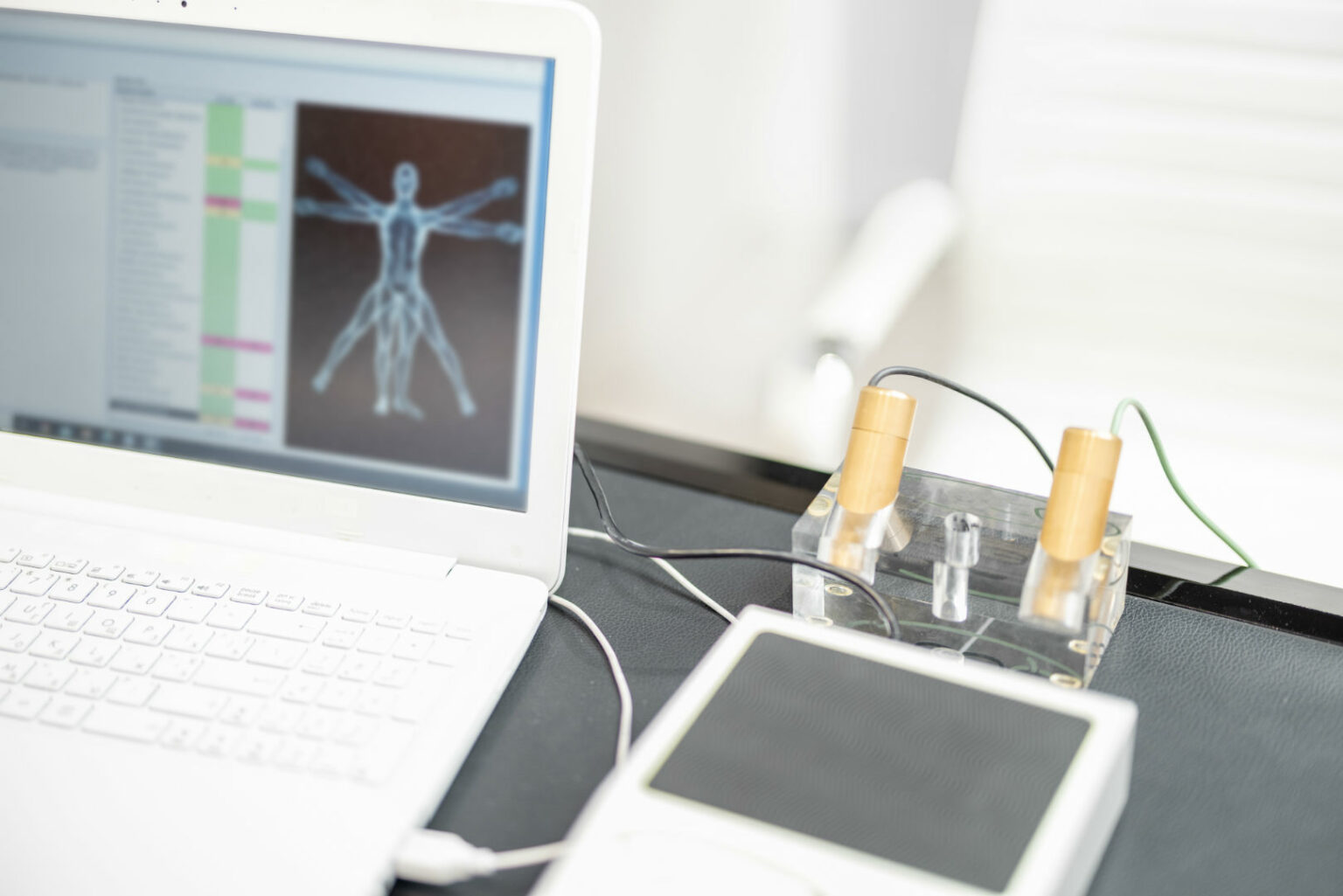 BioEnergetic Scan – Savvy Wellness